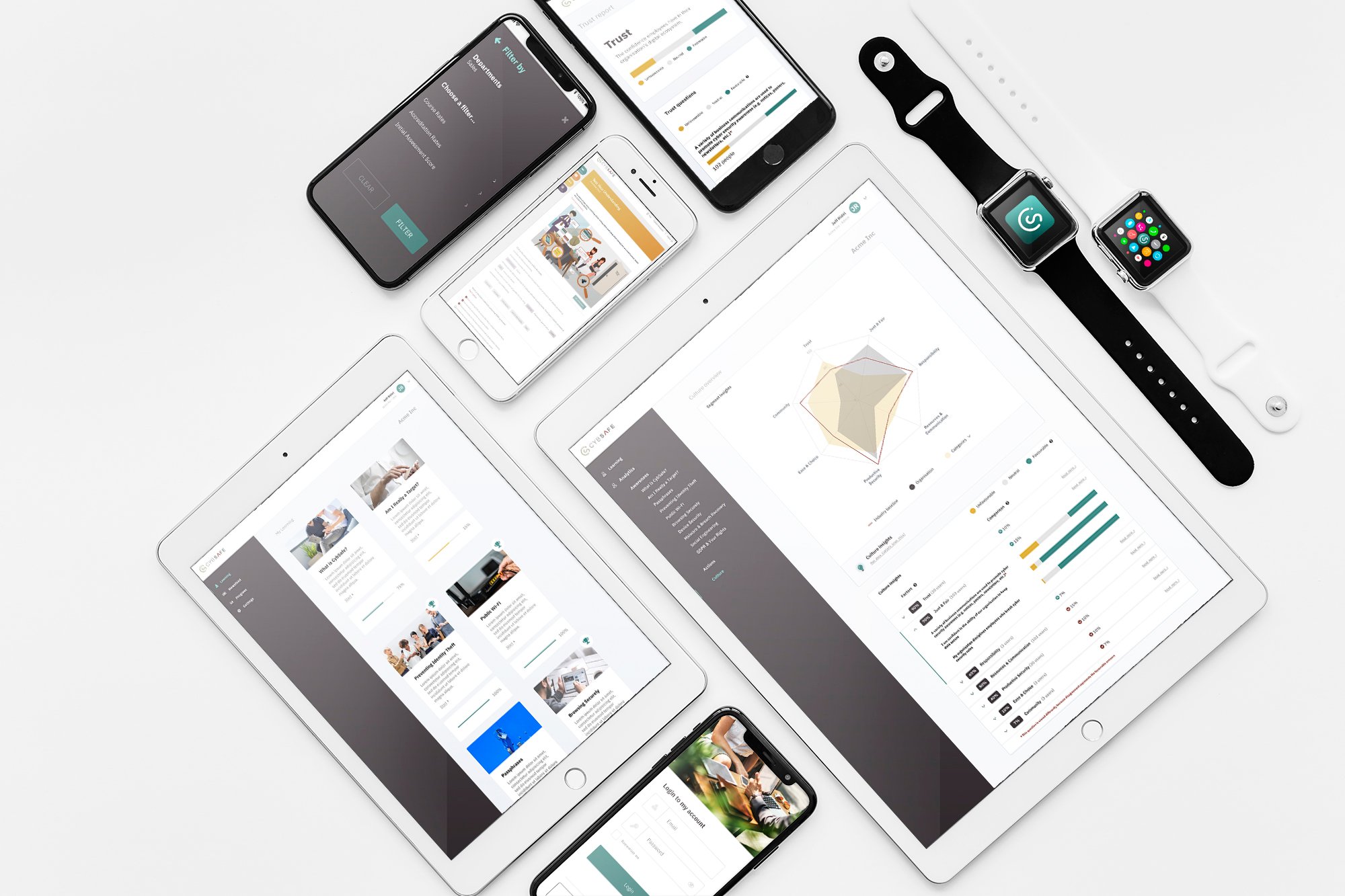 Introduction to CybSafe