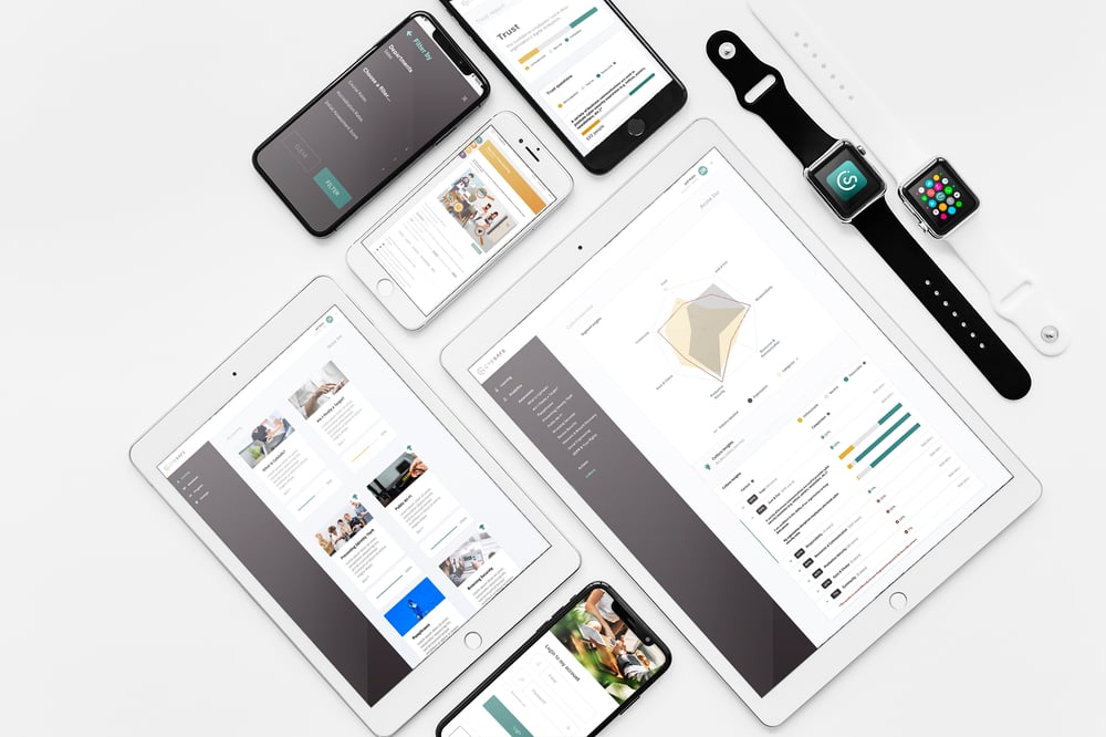 Introduction to CybSafe